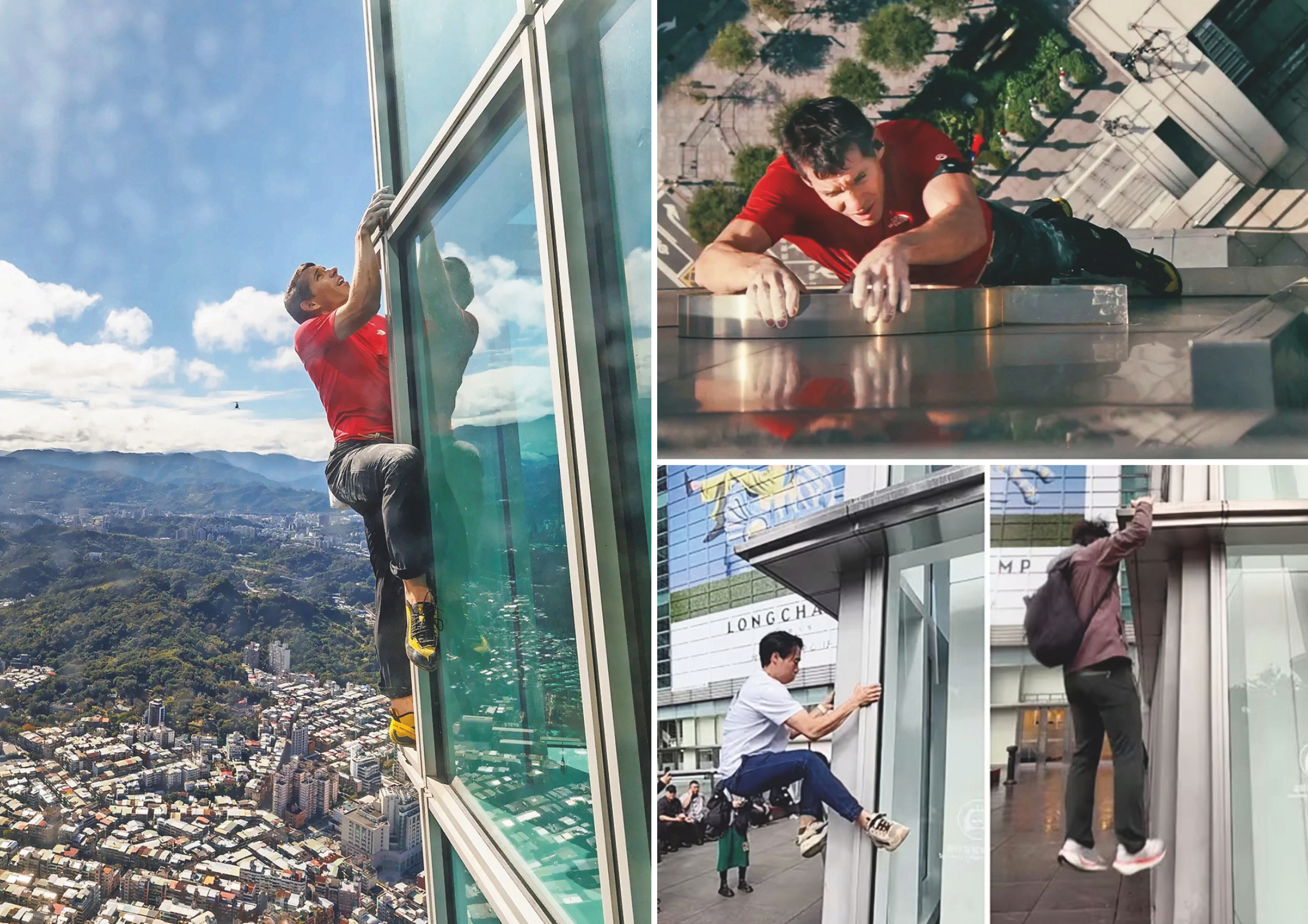Believe it or not: The cat climbs, the copycats try and fail in Taipei