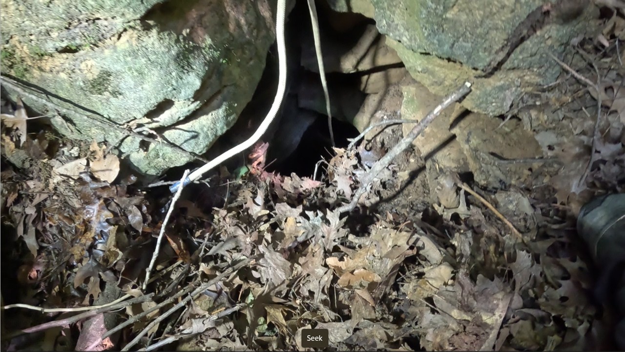 A 200-foot sinkhole behind a 911 center revealed bones at the bottom