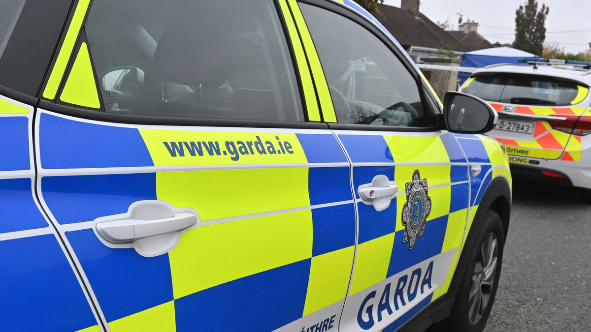 Pedestrian, 60s, dies after being hit by truck in Dublin