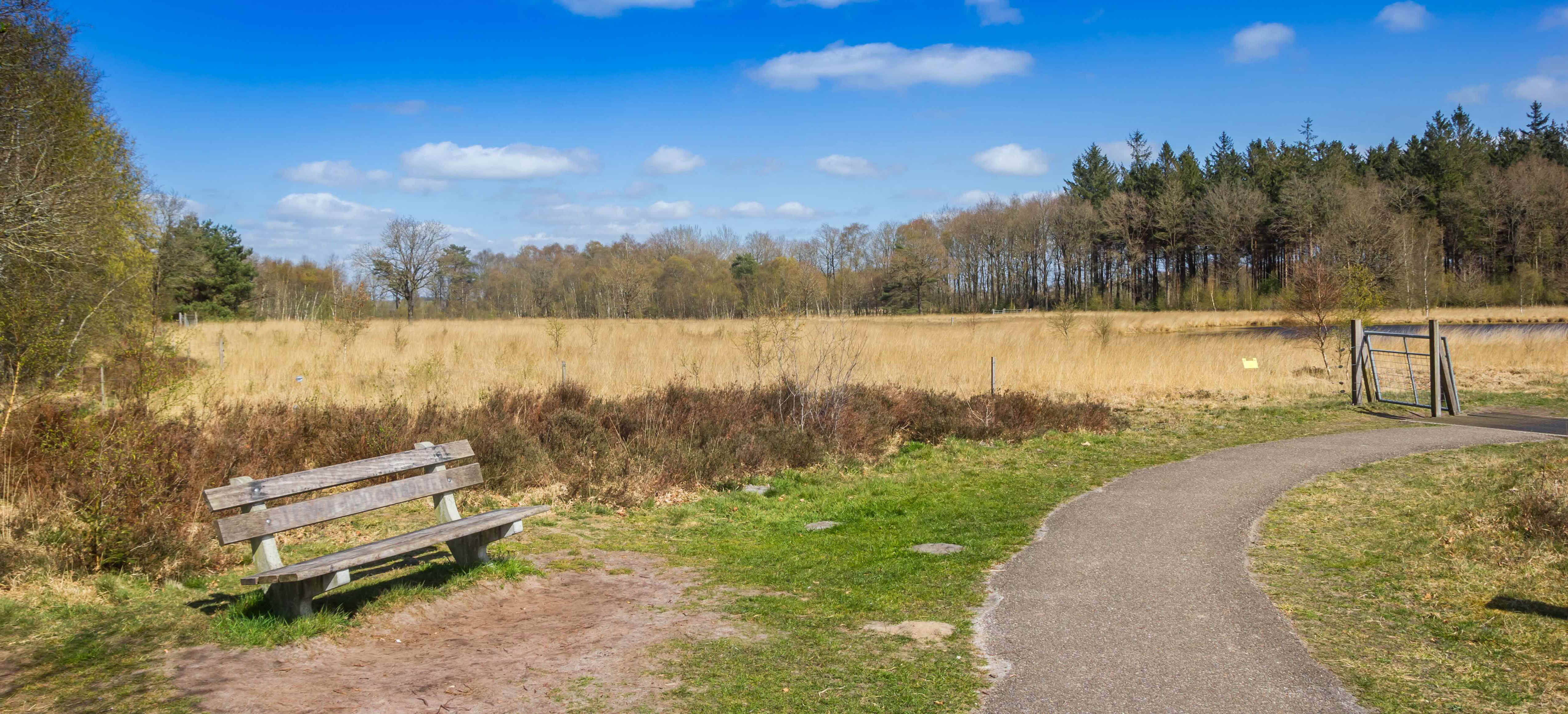 Natuur zonder drempels: ontdek deze 3 rolstoelvriendelijke routes in ...