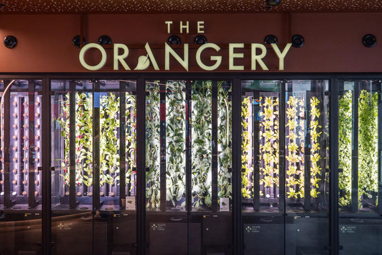 30 romantic restaurants in London for Valentine’s Day - including ...