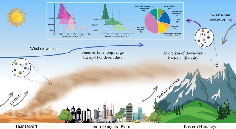 How Thar desert bacteria ride the wind to impact health in Himalayas