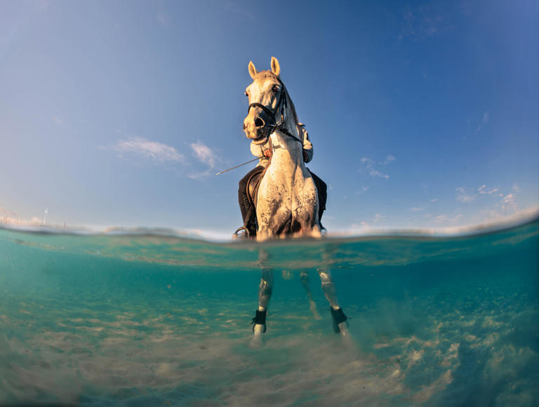 See these outstanding images by the world’s most talented young ...