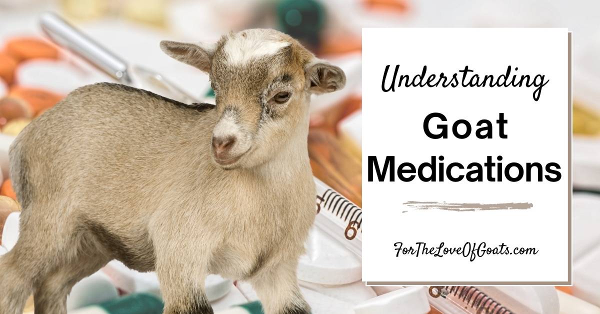 Medications for goats: Understanding antibiotics, labels, and safe ...