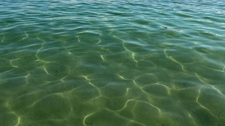 These are Michigan's 5 deepest lakes outside of the Great Lakes