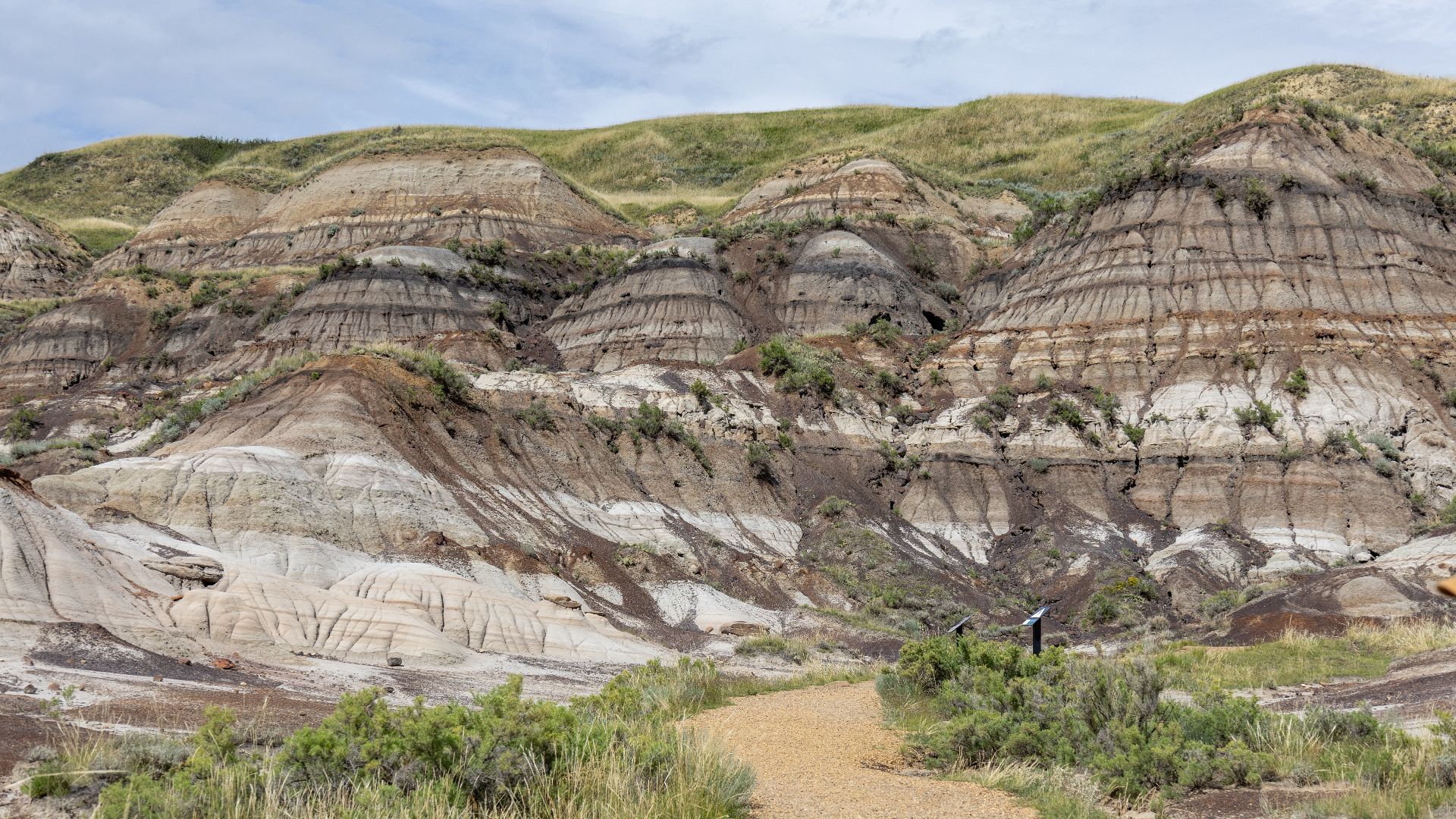 20 areas with the most dinosaur bones worldwide