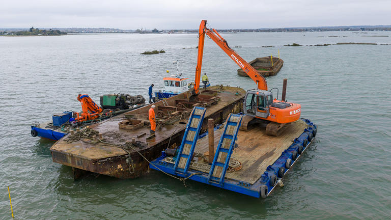 Why three barges have been sunk for first-of-its-kind Essex habitat