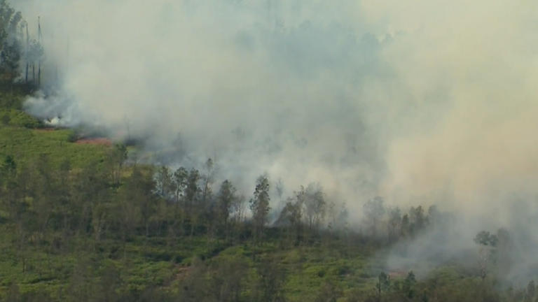 Tributes for Sydney grandfather Tony Scopelliti after Queensland plane ...