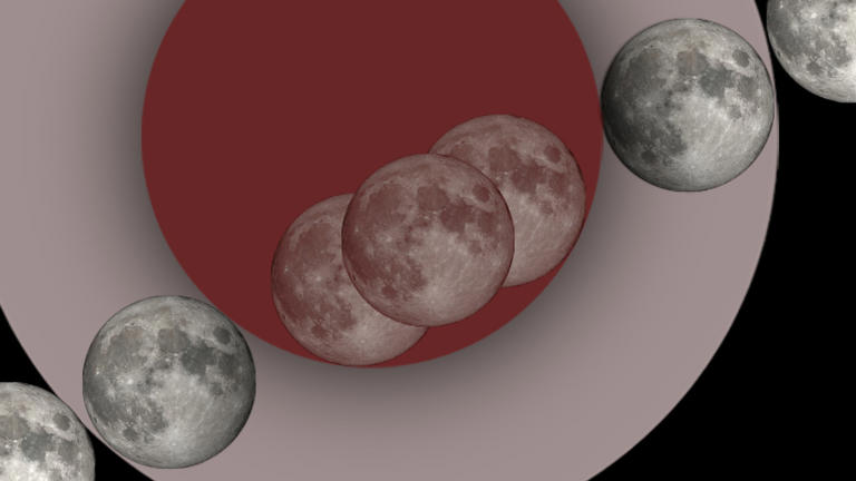 Mark your calendars! The Blood Worm Moon will soon shine across Canada