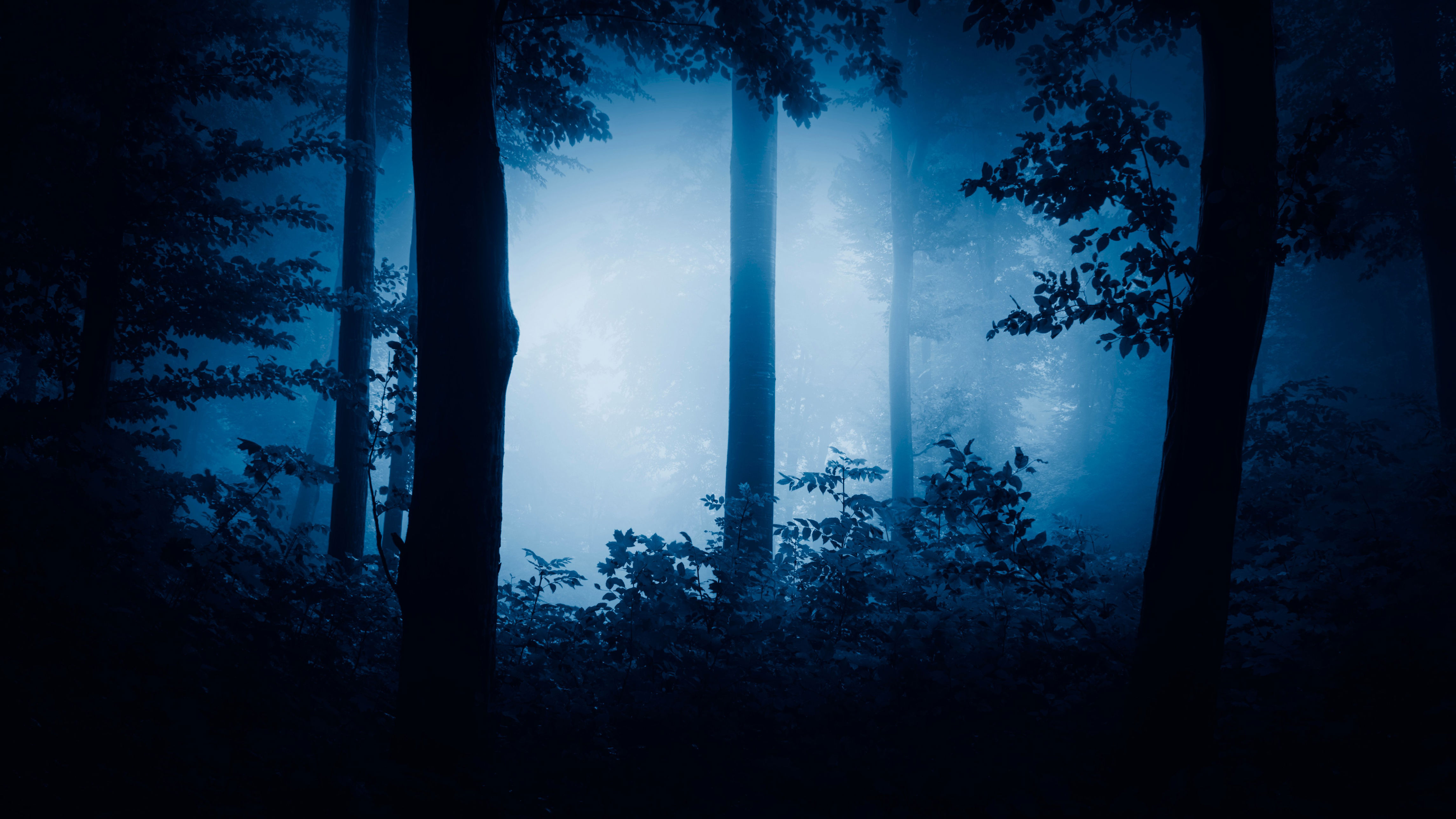 Dlaczego przemoc i cierpienie fascynują w literaturze dark fantasy