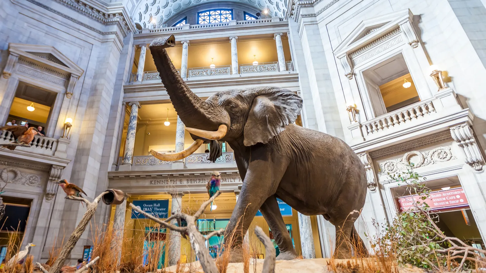 12 family friendly places to visit in Washington, DC