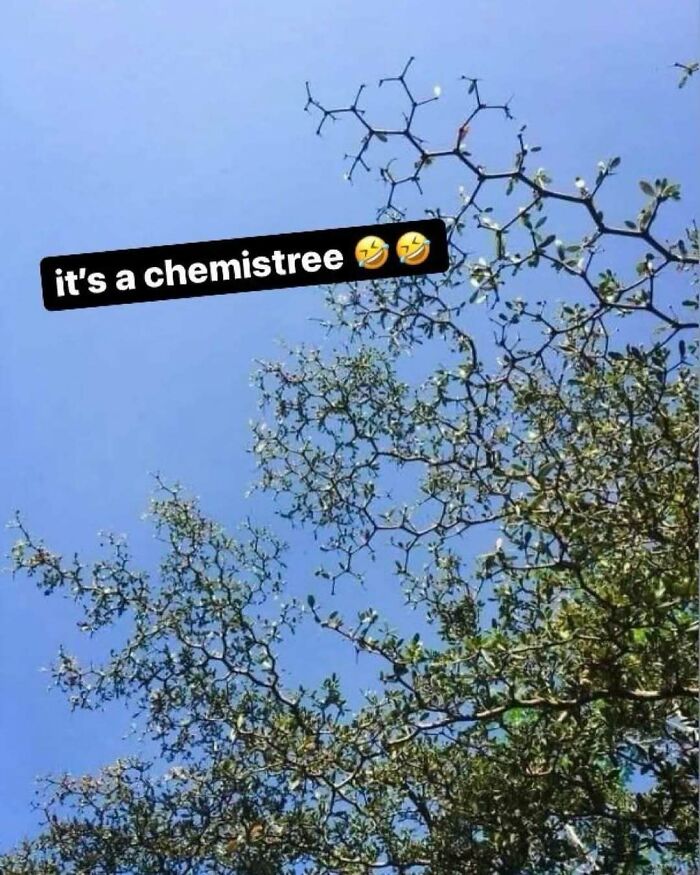35 scientifically proven memes for those with an intellectual sense of ...