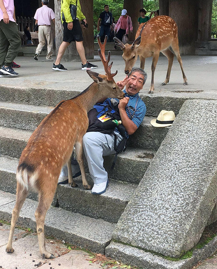 Stay crazy Japan: 48 interesting pics that show why Japan is a country ...