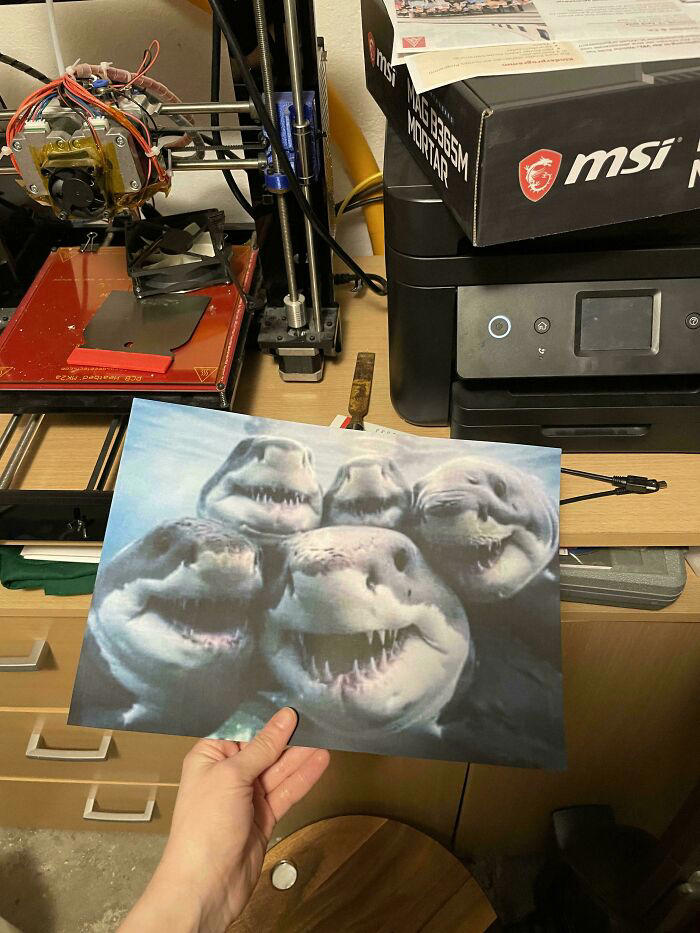 For the weird, strange, odd and bizarre: 41 pics from this strange group