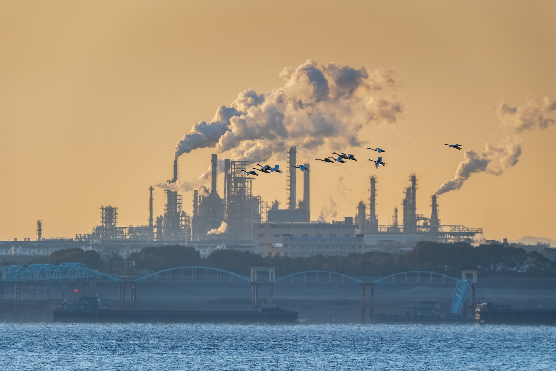 Countries that use the most crude oil, ranked