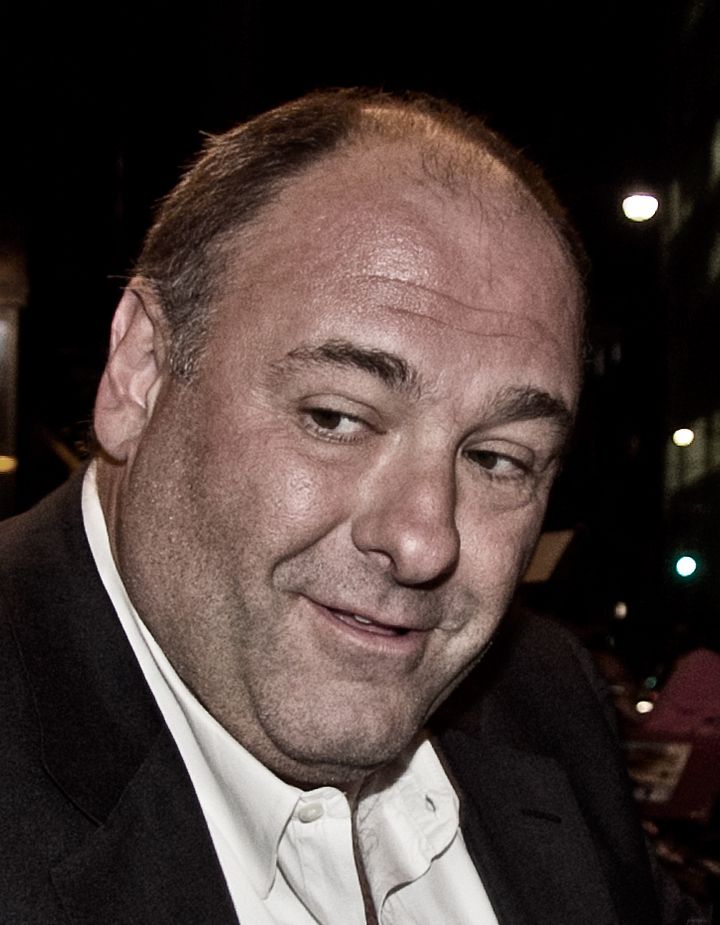 Catch up with the Sopranos cast