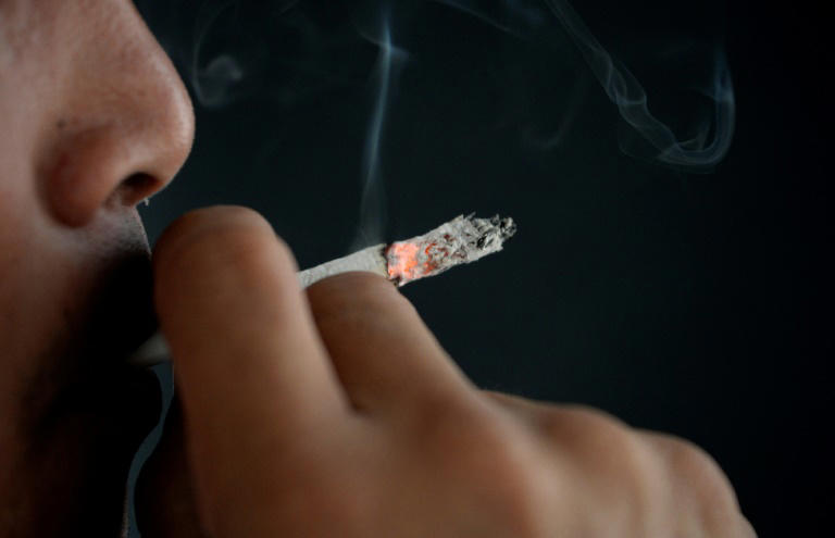 Four out of every 10 cancer cases are preventable: WHO
