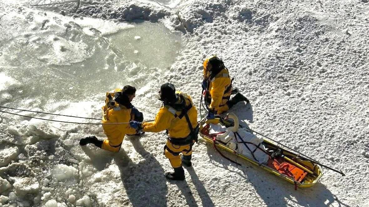 Firefighters rescue swan from icy Norwalk River