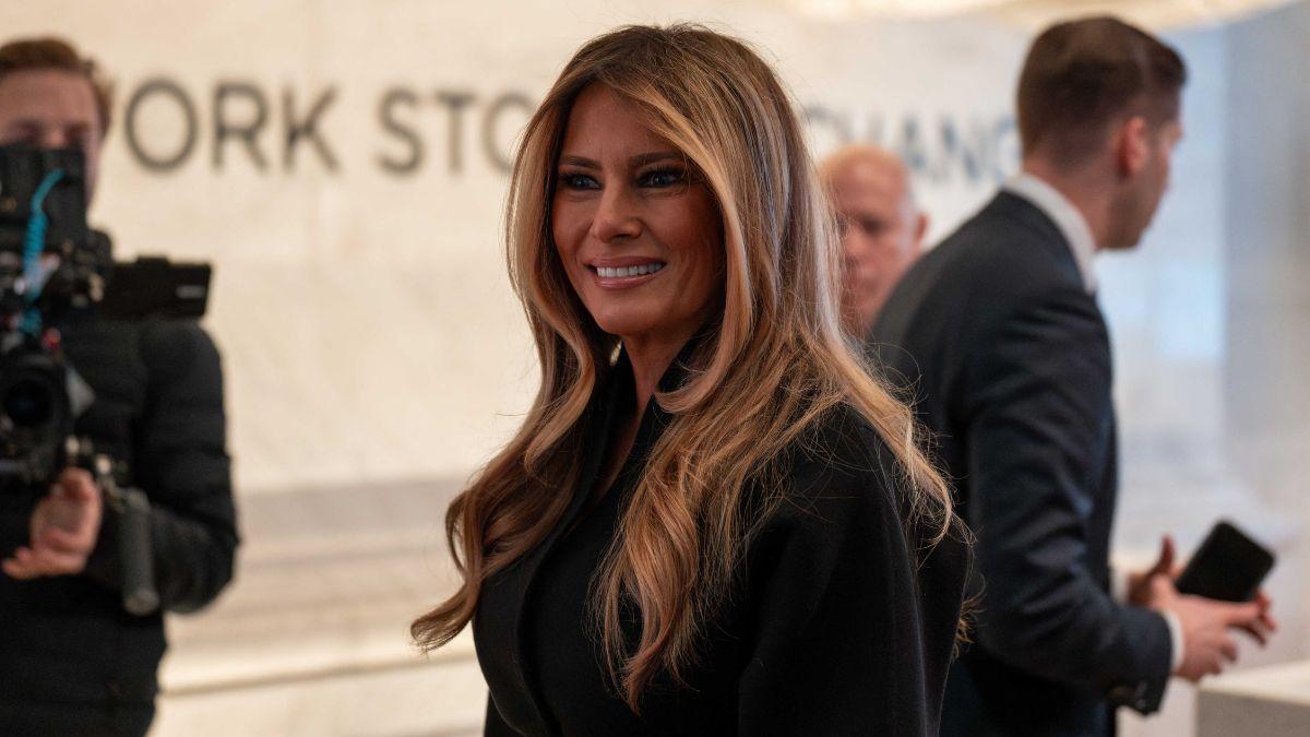 Jeffrey Epstein introduced Melania to Donald Trump, new bombshell FBI ...