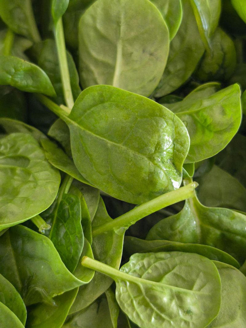 Dietitians say these 10 frozen vegetables are better than fresh