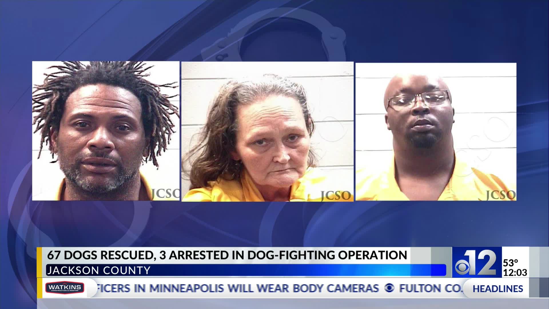 67 dogs rescued, 3 arrested in Mississippi dog-fighting operation