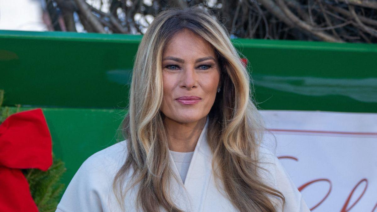 Fox News host Kayleigh McEnany trolled on social media after claiming ...