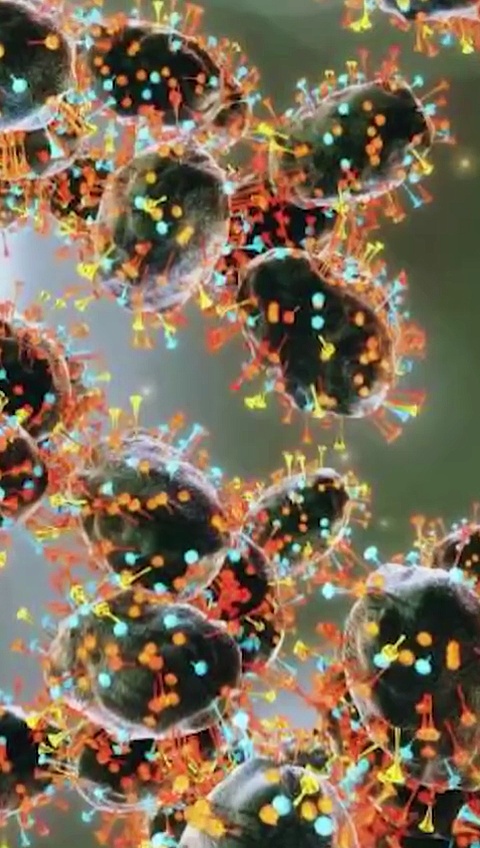 El virus Nipah