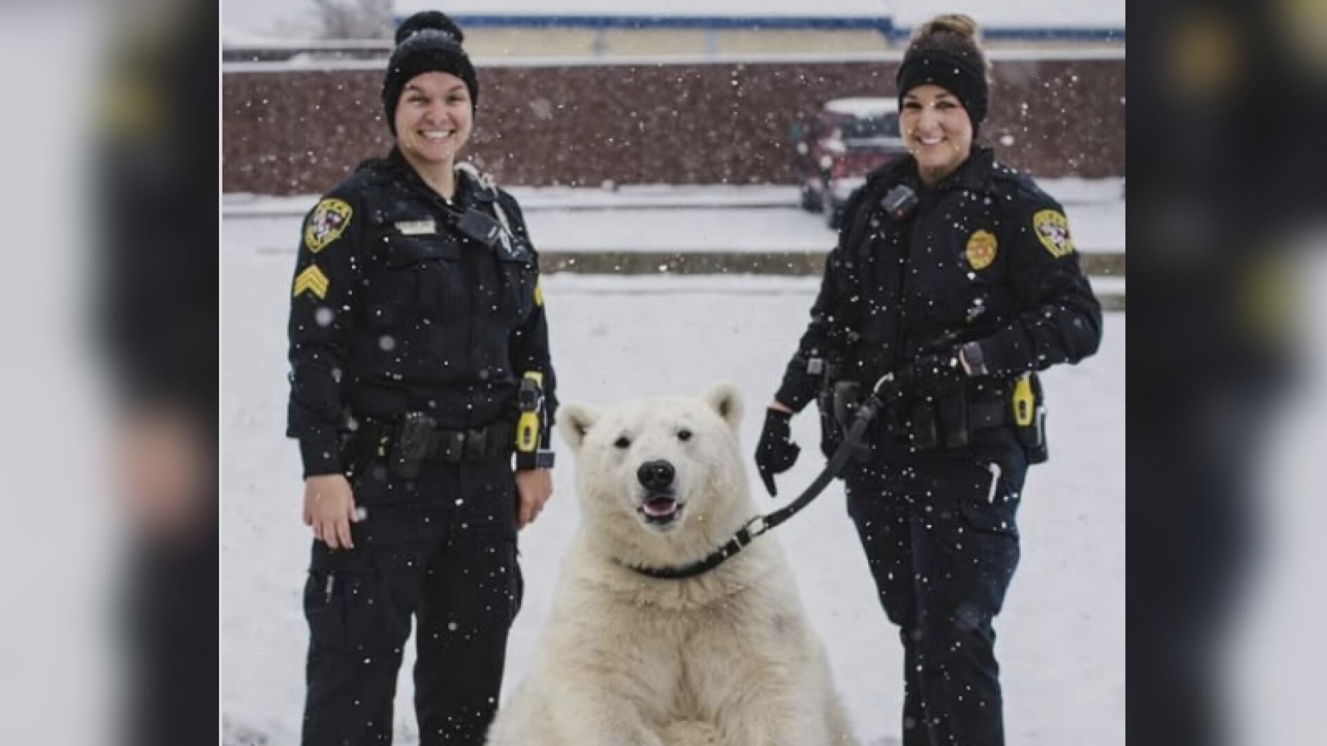 Police department’s viral Facebook posts blend humor with public safety