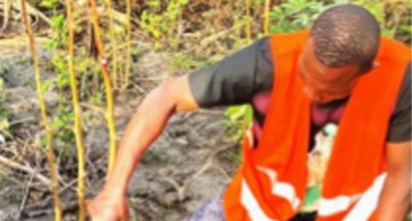 MetalsGrove discovers significant cluster of gold soil samples at new ...