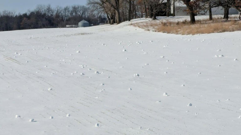 Nature's natural snowballs: snow rollers and how they form