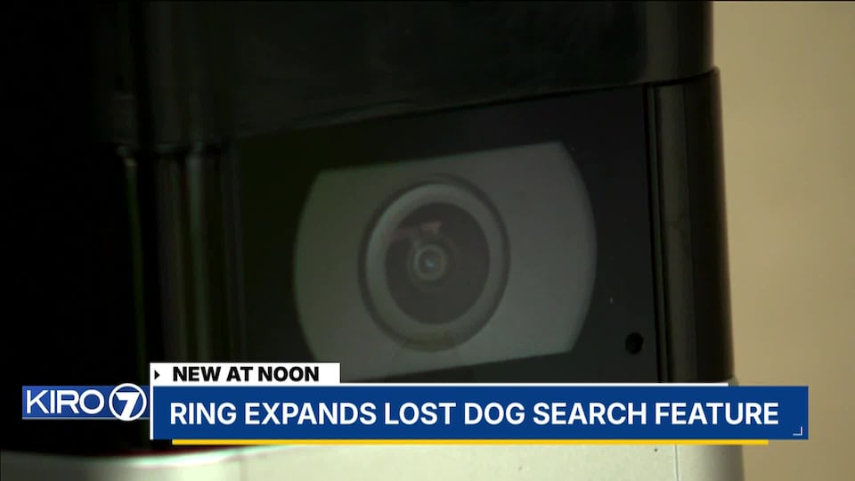 Video: Ring expands lost dog search feature
