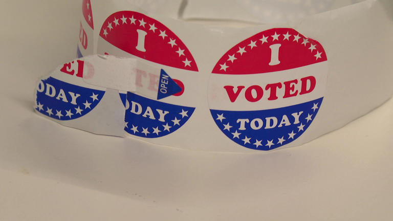 Madison early voting opens for Dane County spring primary election