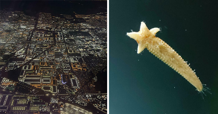 48 interesting things that made people do a double take to realize what ...