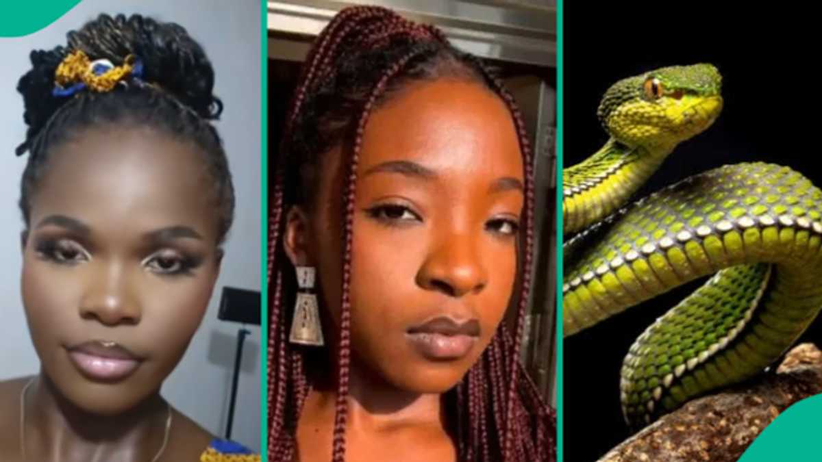 Read trending post as Nigerian lady shares name of exact kind of snake ...