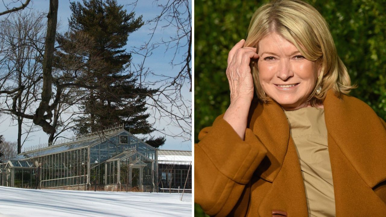 'I am never without fresh produce' – How Martha Stewart plants her ...