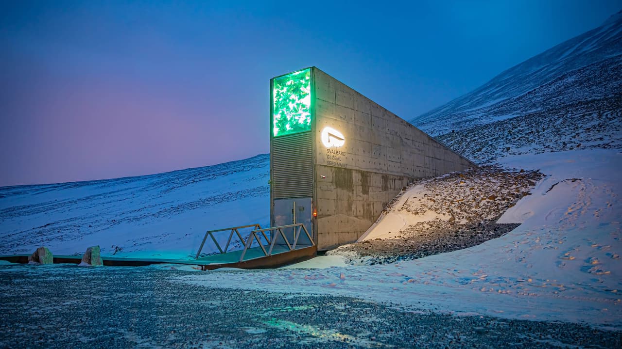 'Backup plan for life': Dire Wolf Biotech firm's modern-day Noah's Ark ...