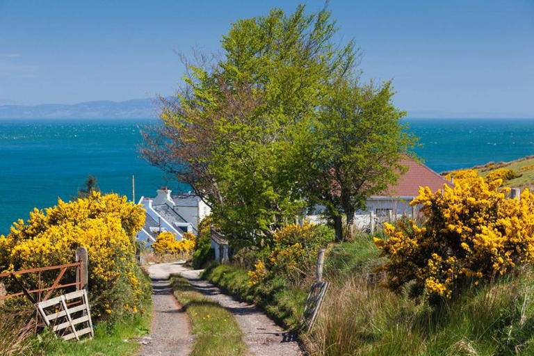 Village designed to look like a slice of Cornwall is the perfect getaway