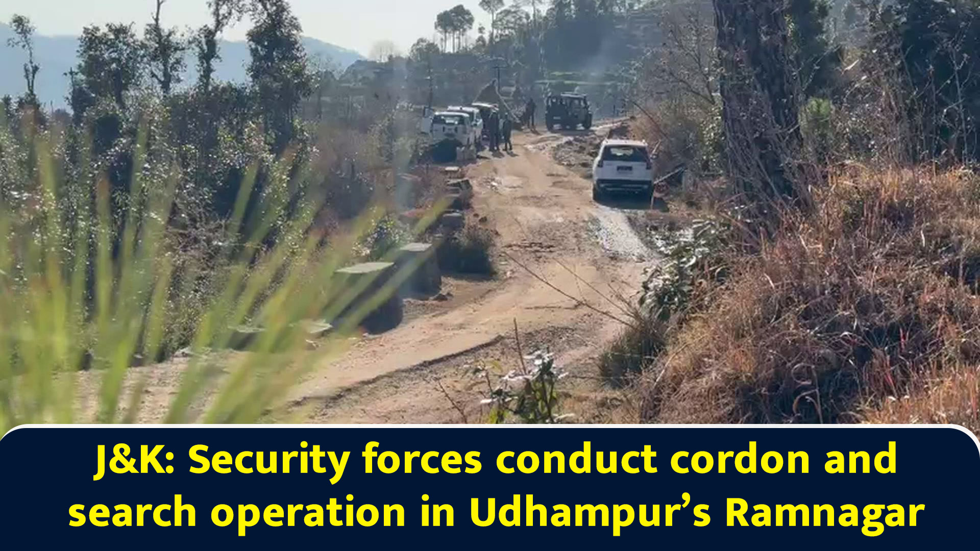 J&K: Security forces conduct cordon and search operation in Udhampur’s ...