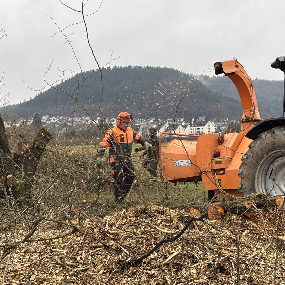 Globus-Neubau in Trier-Zewen: Was jetzt auf dem Baugelände passiert
