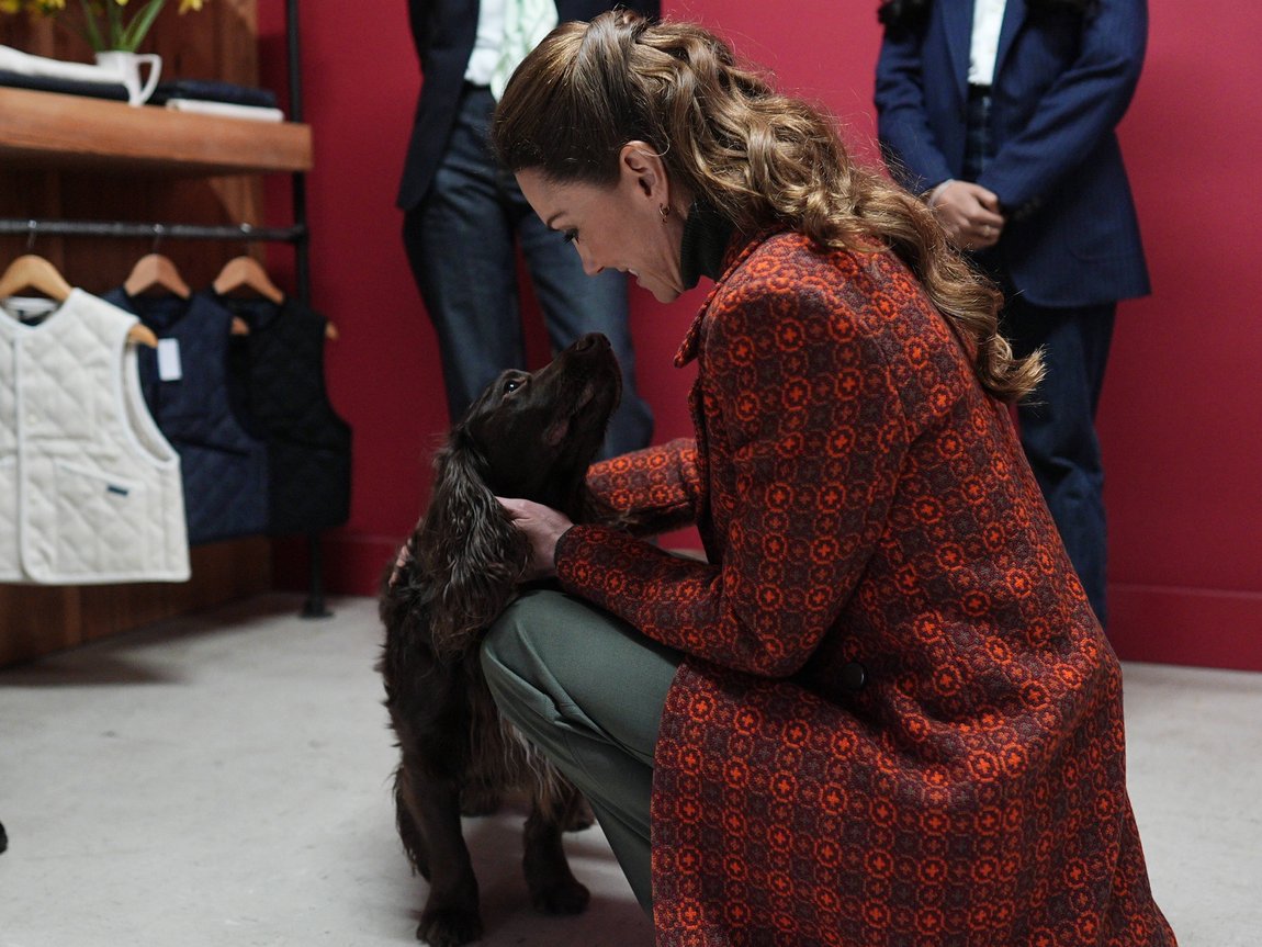 New dog for the royals: Princess Kate confirms family addition
