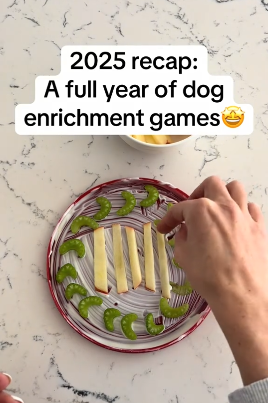Fun and effective dog enrichment games worth trying
