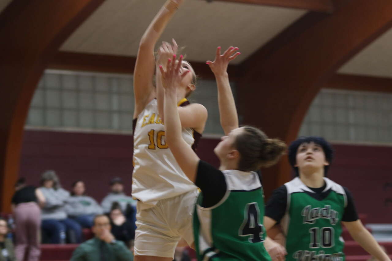 Deckerville's Libby Tank hits 1,000 points in victory over Akron-Fairgrove