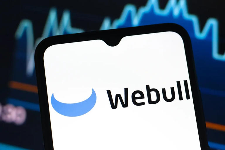 Webull stock has fallen more than 50% in last 6 months, it's again down ...