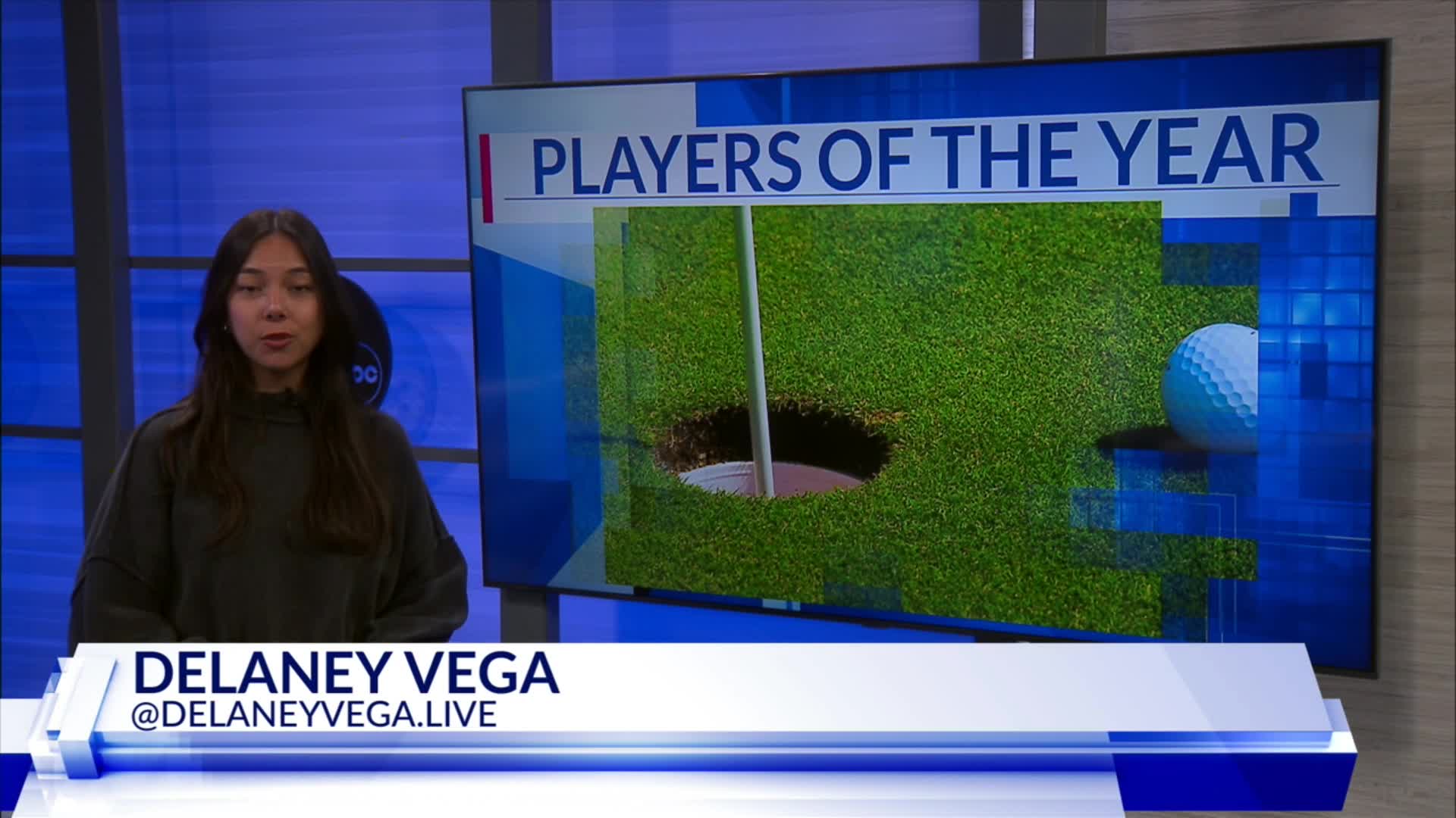 Mosley Dolphin secures Bay County's player of the year for boys' golf