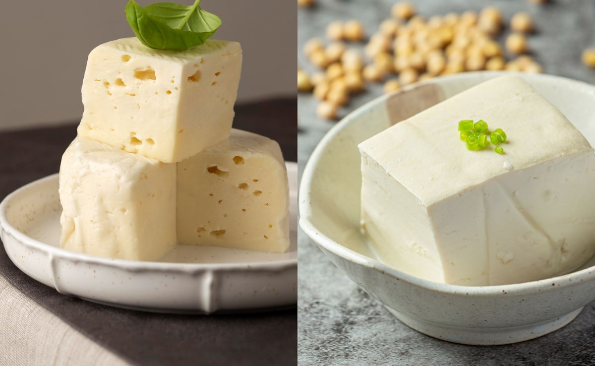Paneer vs. tofu: Which is a richer source of protein?