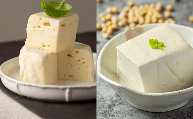Paneer vs. tofu: Which is a richer source of protein?