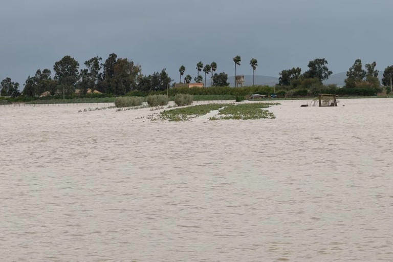 Heavy flooding hits rural areas in northwest Morocco after partial dam ...