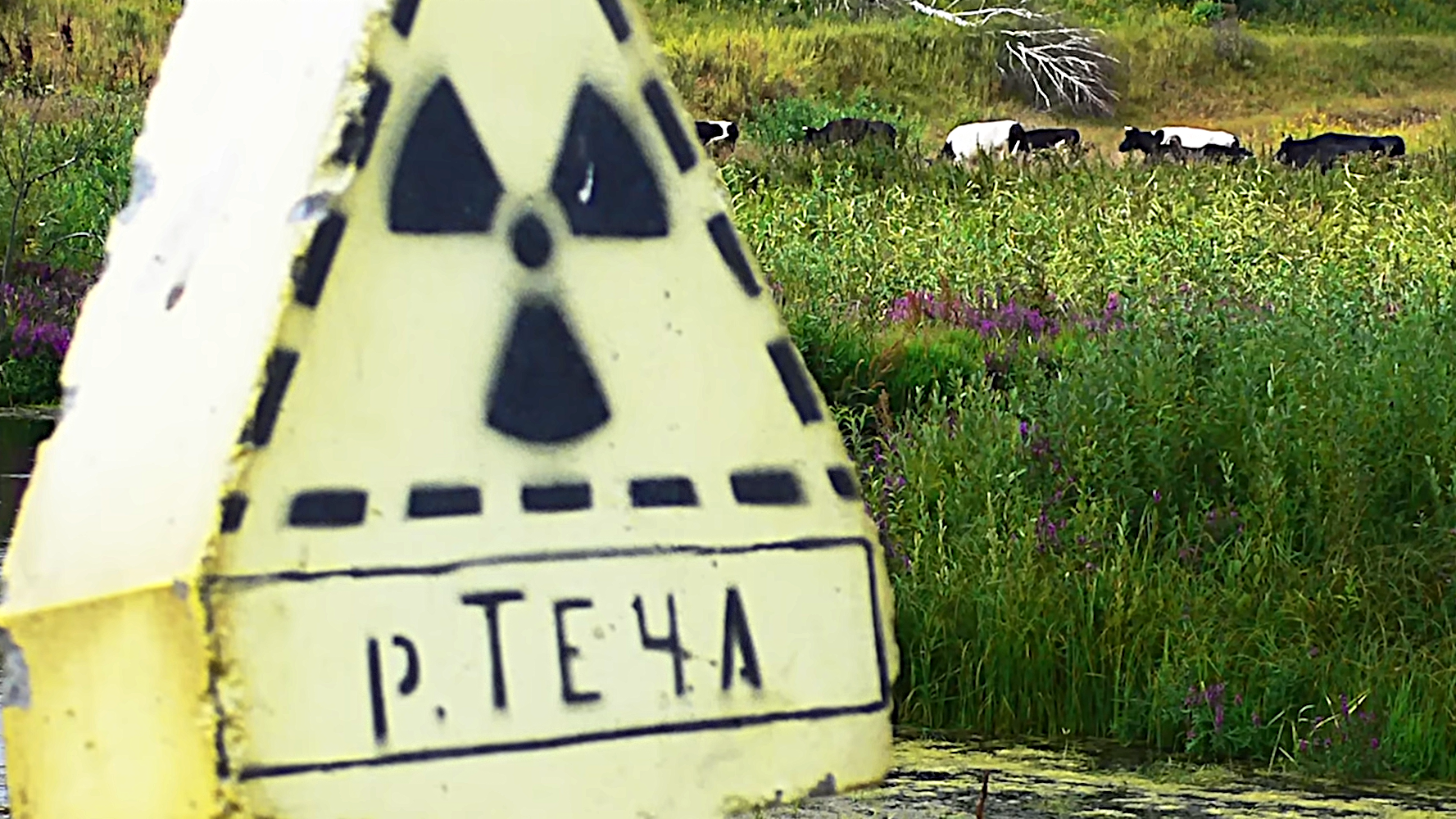 They dumped nuclear waste in this lake - now 30 minutes can kill you