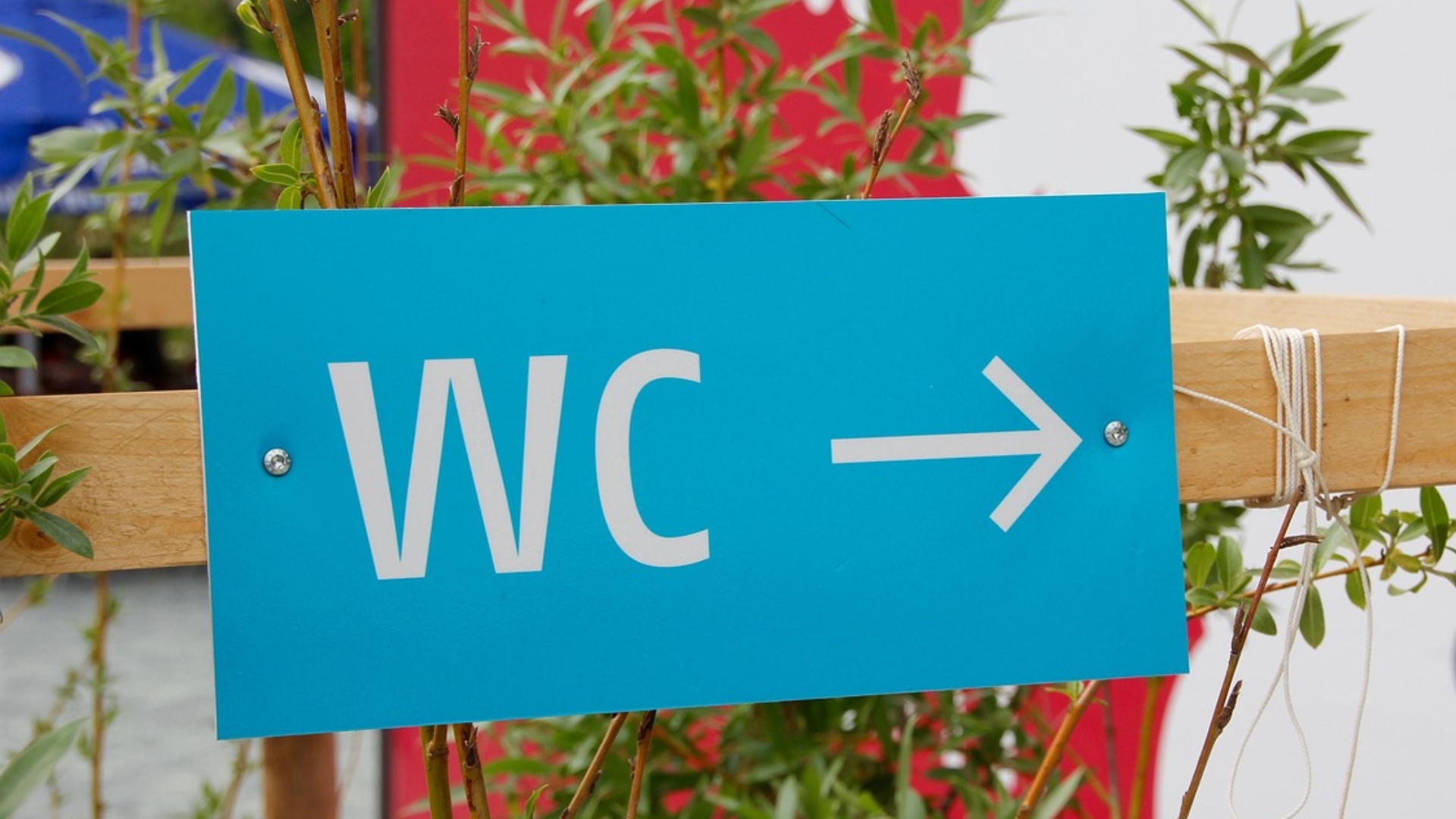 This little-known meaning of "WC" surprised thousands of internet users ...