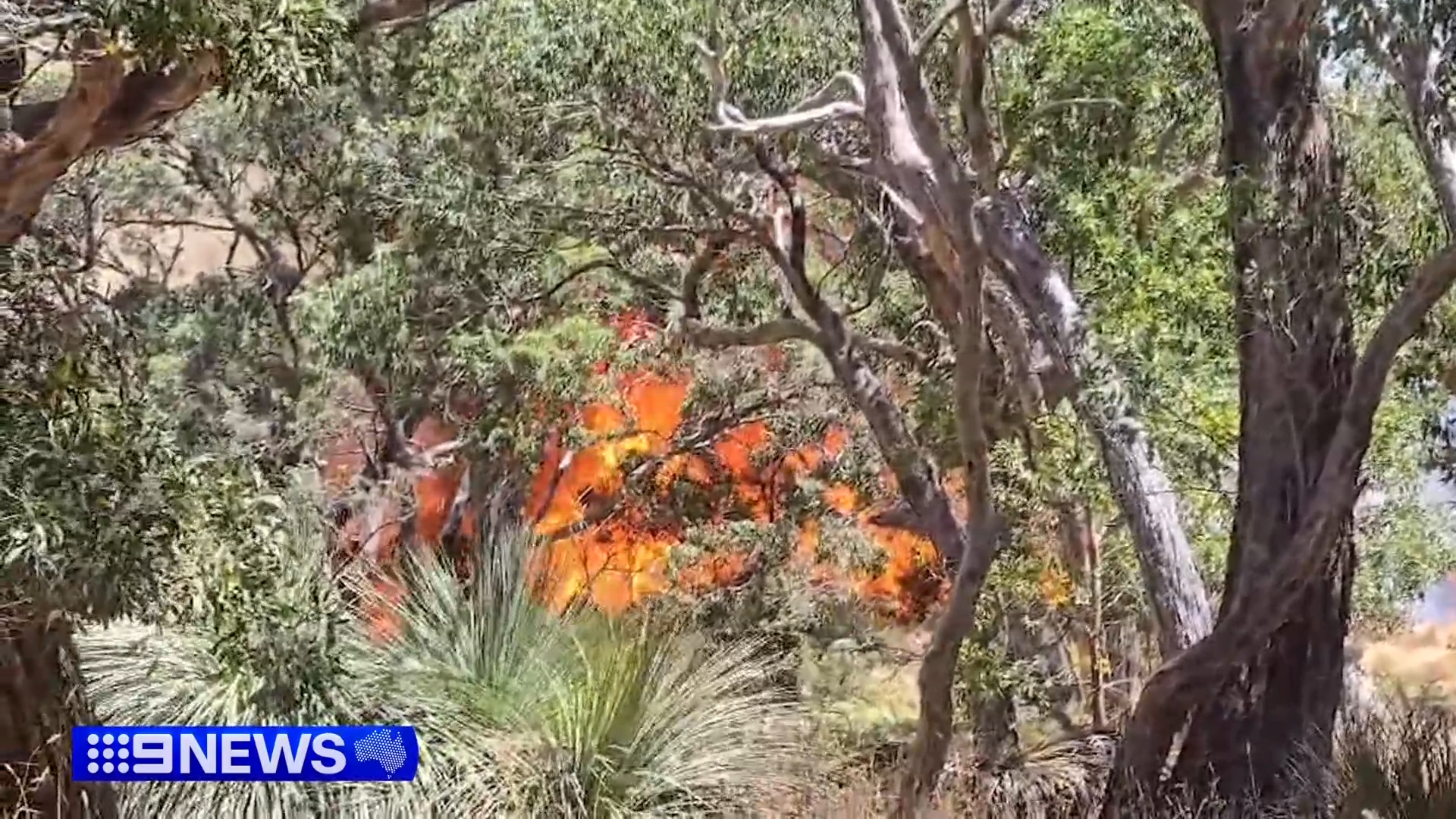 Scorching heat and high winds trigger extreme fire danger warnings